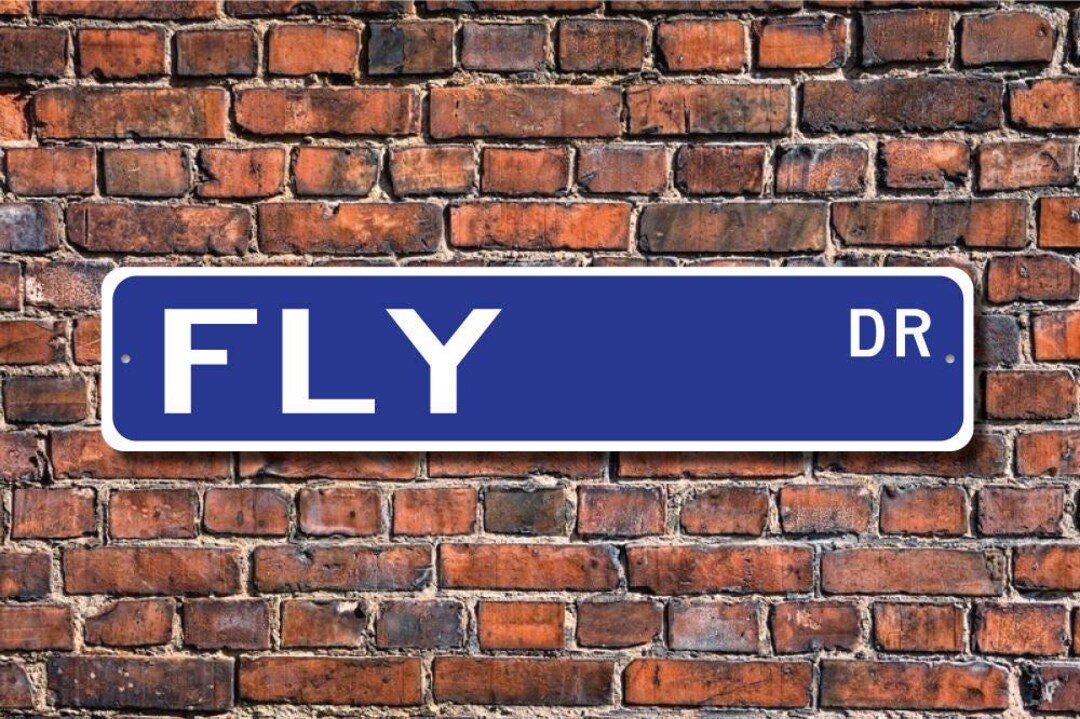 Fly, Fly Gift, Fly Sign, Fly Decor, Fly Lover, Fly Expert, Annoying ...