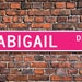 Abigail Abigail Sign Abigail Gift Abigail Lover Child - Etsy