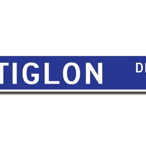Tiglon, Tiglon Gift, Tiglon Sign, Tiglon Decor, Tiglon Lover, Crossbred ...