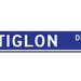 Tiglon Tiglon Gift Tiglon Sign Tiglon Decor Tiglon Lover - Etsy
