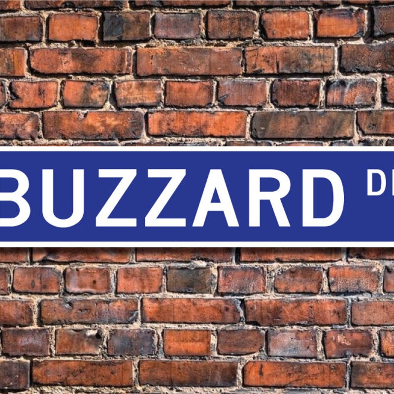 Metal Buzzard - Etsy UK