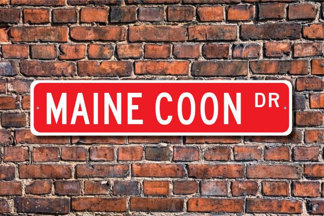 Maine Coon, Maine Coon Lover, Maine Coon Sign, Maine Coon Owner, Maine ...