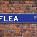 Flea, Flea Gift, Flea Sign, Flea Decor, Flea Lover, Flea Expert, Insect ...