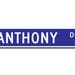 Anthony Anthony Sign Anthony Gift Child Gift Grandchild - Etsy