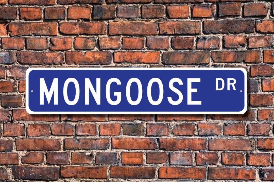 Mongoose, Mongoose Gift, Mongoose Sign, Mongoose Decor, Mongoose Lover ...