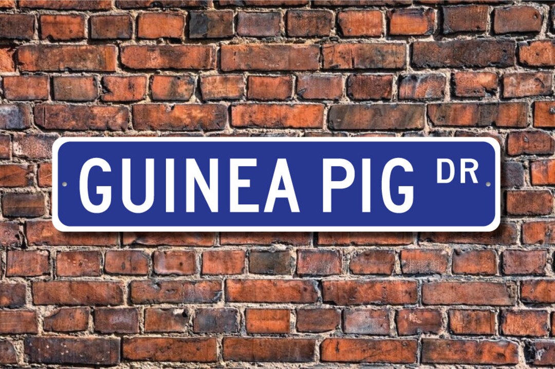 Guinea Pig, Guinea Pig Gift, Guinea Pig Sign, Guinea Pig Decor, Guinea ...