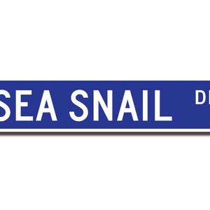Sea Snail, Sea Snail Gift, Sea Snail Sign, Sea Snail Decor, Snail Lover ...