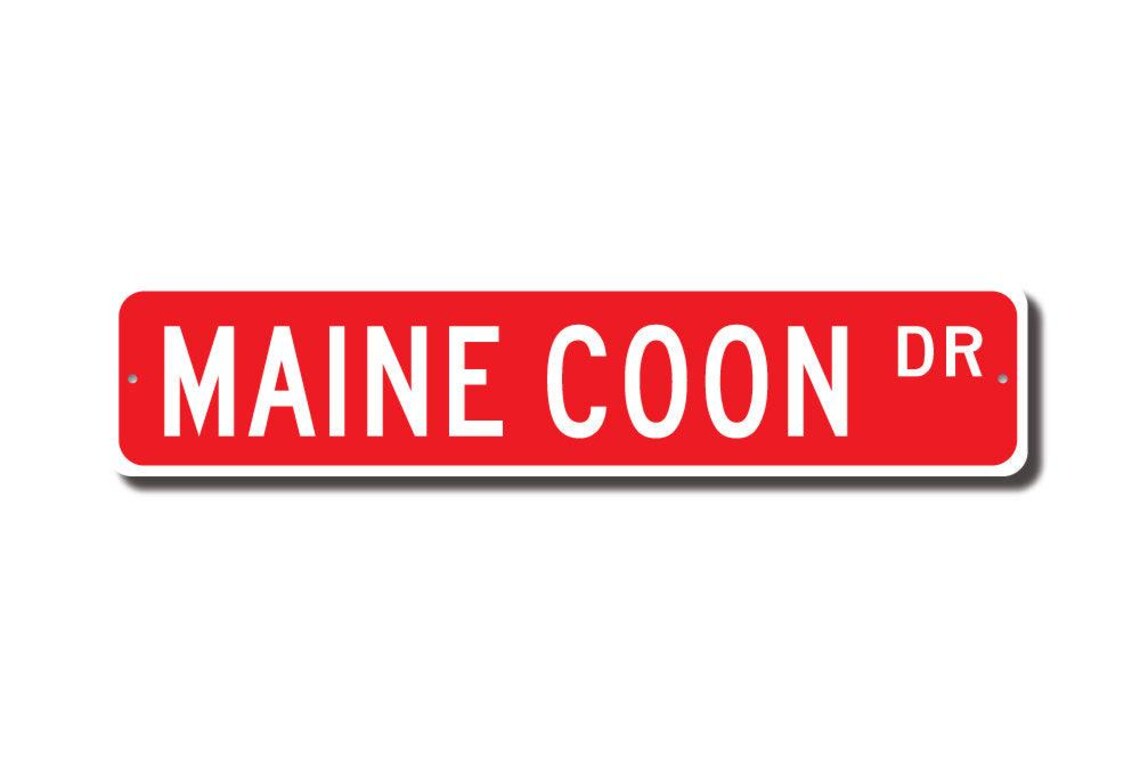 Maine Coon, Maine Coon Lover, Maine Coon Sign, Maine Coon Owner, Maine ...