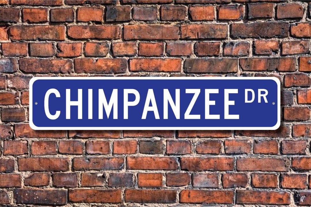 Chimpanzee, Chimpanzee Gift, Chimpanzee Sign, Chimpanzee Decor ...