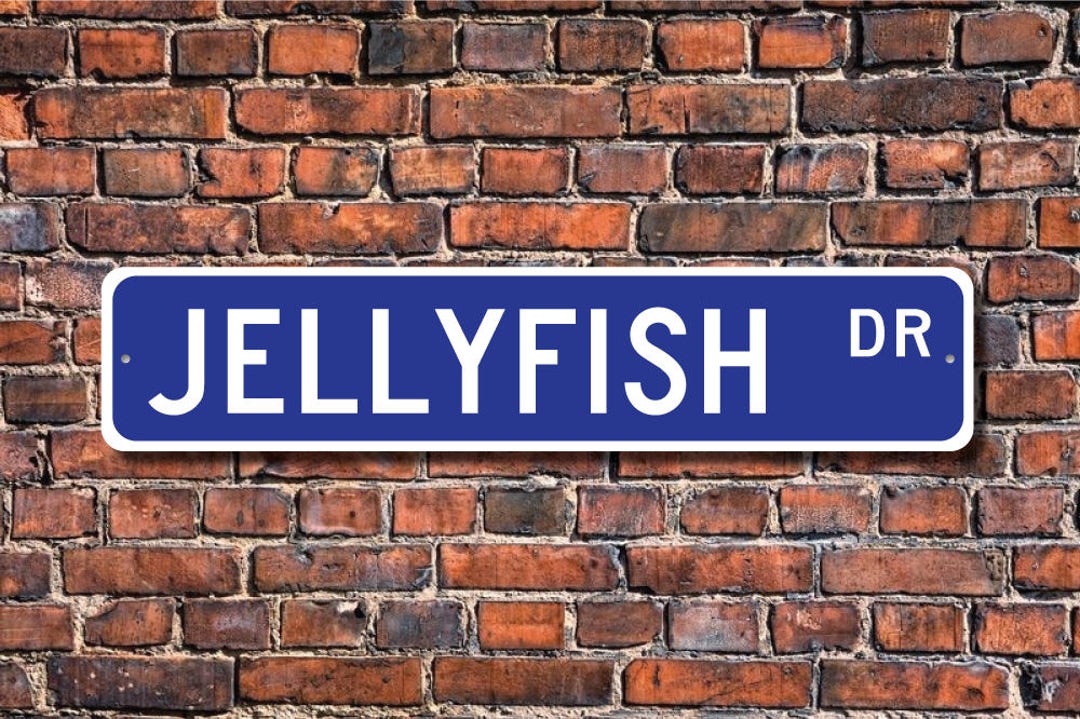 Jellyfish Jellyfish Gift Jellyfish Sign Jellyfish Decor - Etsy