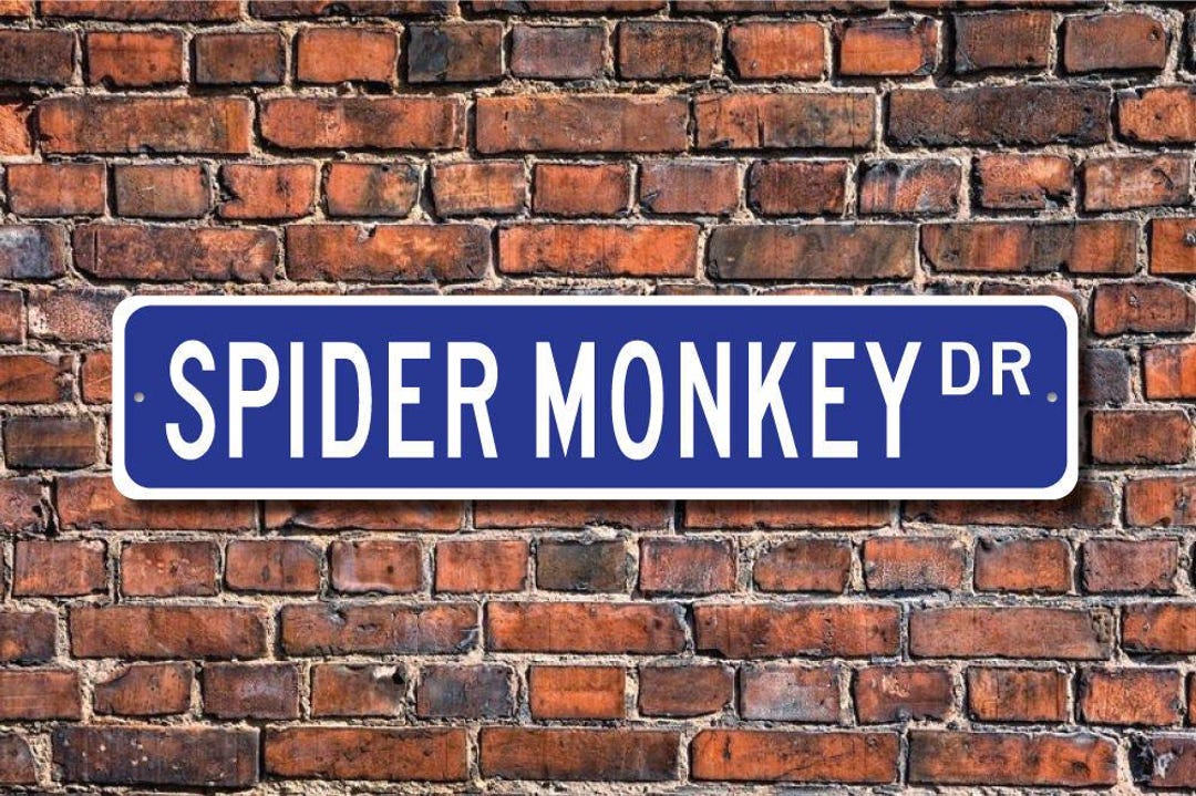 Spider Monkey, Spider Monkey Gift, Spider Monkey Sign, Monkey Decor ...