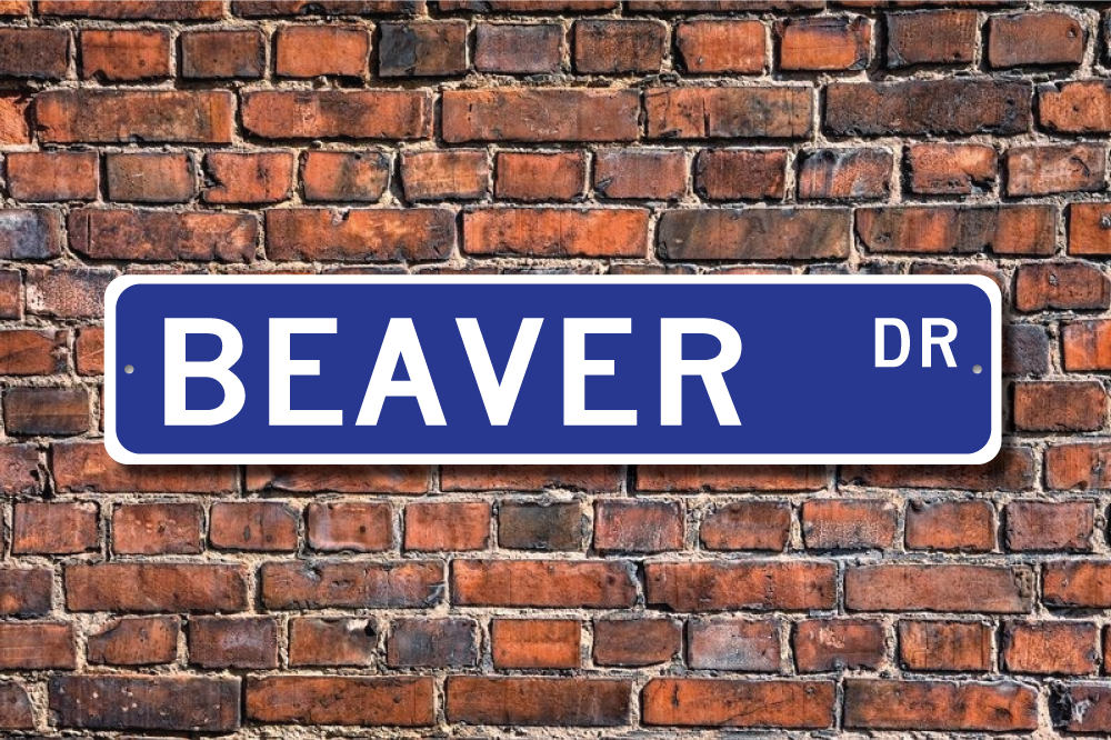 Beaver Beaver Gift Beaver Sign Beaver Decor Beaver Lover - Etsy