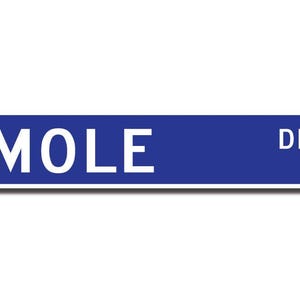 Mole, Mole Gift, Mole Sign, Mole Decor, Mole Lover, Subterranean Mammal ...