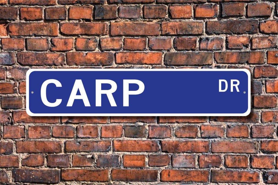 Carp, Carp Gift, Carp Sign, Carp Decor, Carp Expert, Carp Study, Fish ...