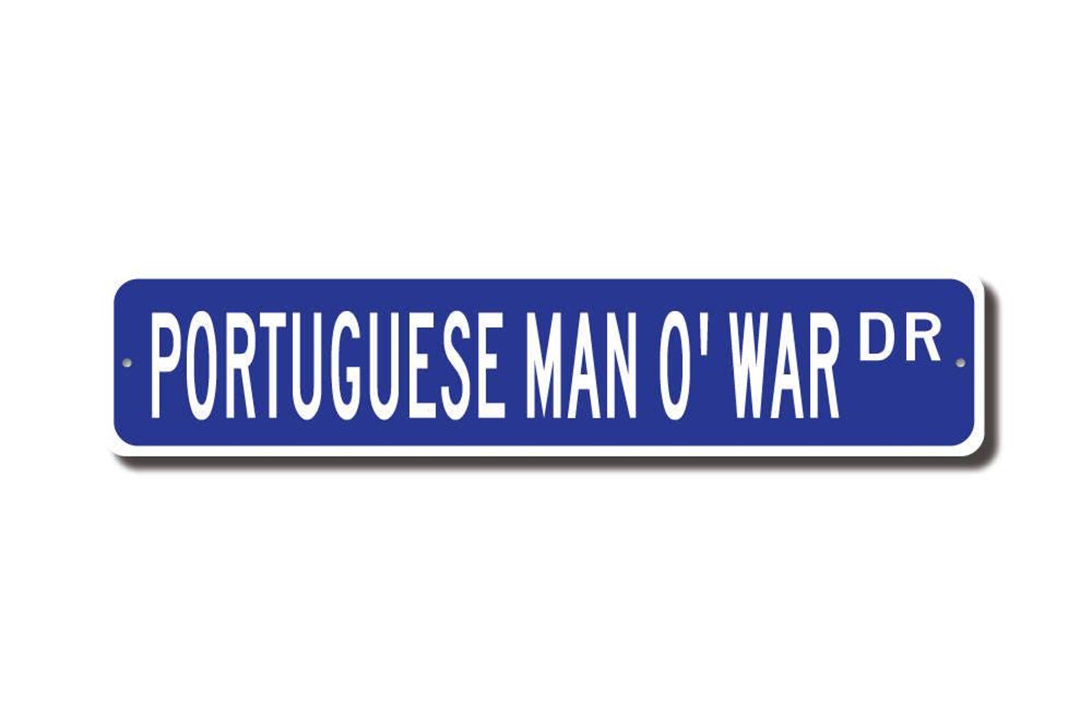 Portuguese Man O'war, Portuguese Man O'war Gift, Portuguese Man O'war ...