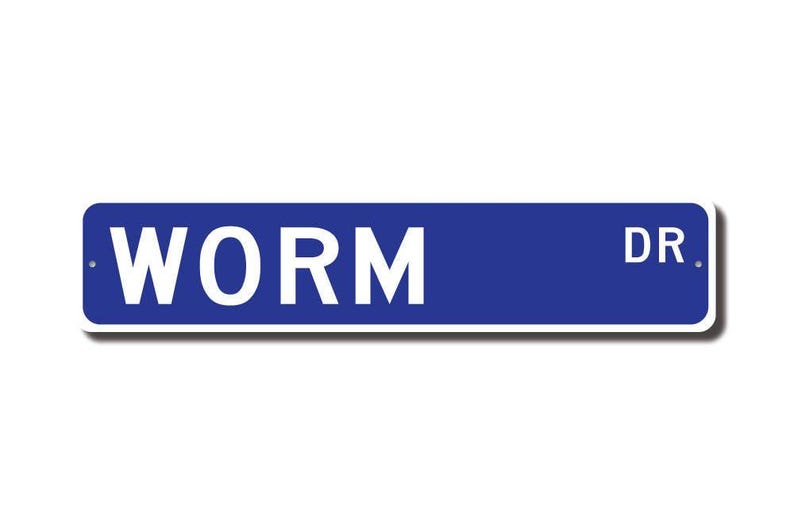 Worm, Worm Gift, Worm Sign, Worm Decor, Worm Lover, Creeping or ...