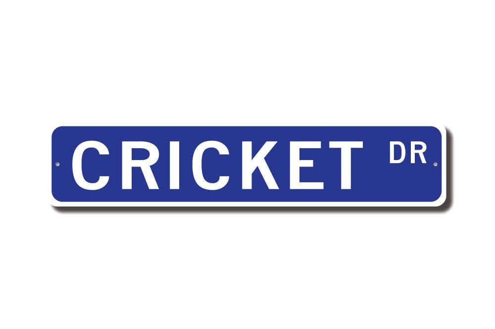 Cricket, Cricket Gift, Cricket Sign, Cricket Decor, Cricket Expert ...