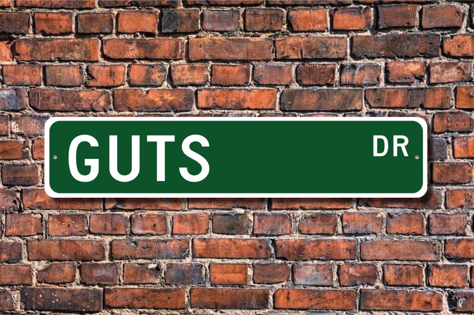 Guts Guts Sign Guts Fan Guts Player Guts Gift Frisbee | Etsy