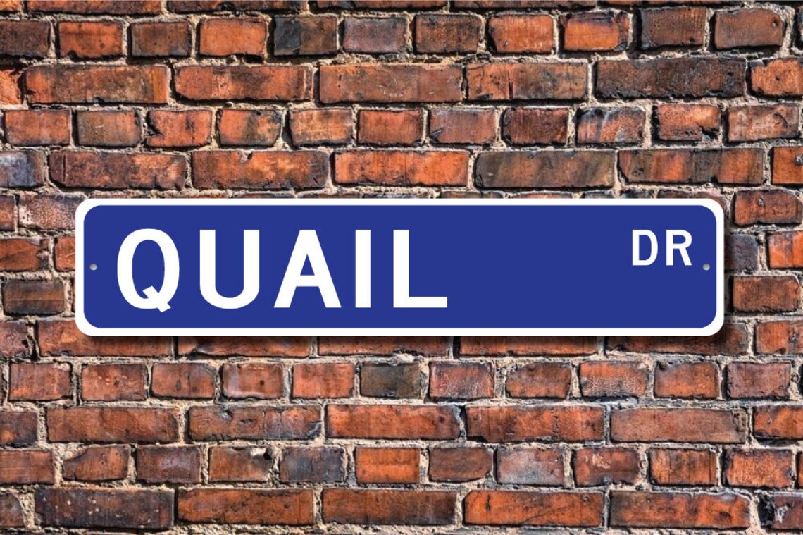 Quail Quail T Quail Sign Quail Decor Quail Lover Small Etsy