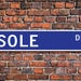 Sole Sole Gift Sole Sign Sole Decor Sole Lover Flat Fish - Etsy