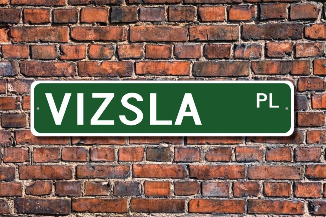 Vizsla, Vizsla Sign, Vizsla Lover, Custom Street Sign,quality Metal ...