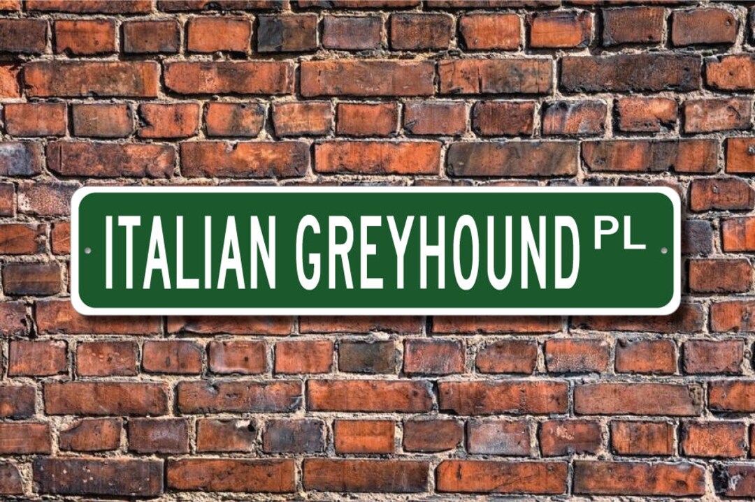 Italian Greyhound, Italian Greyhound Lover, Italian Greyhound Sign ...