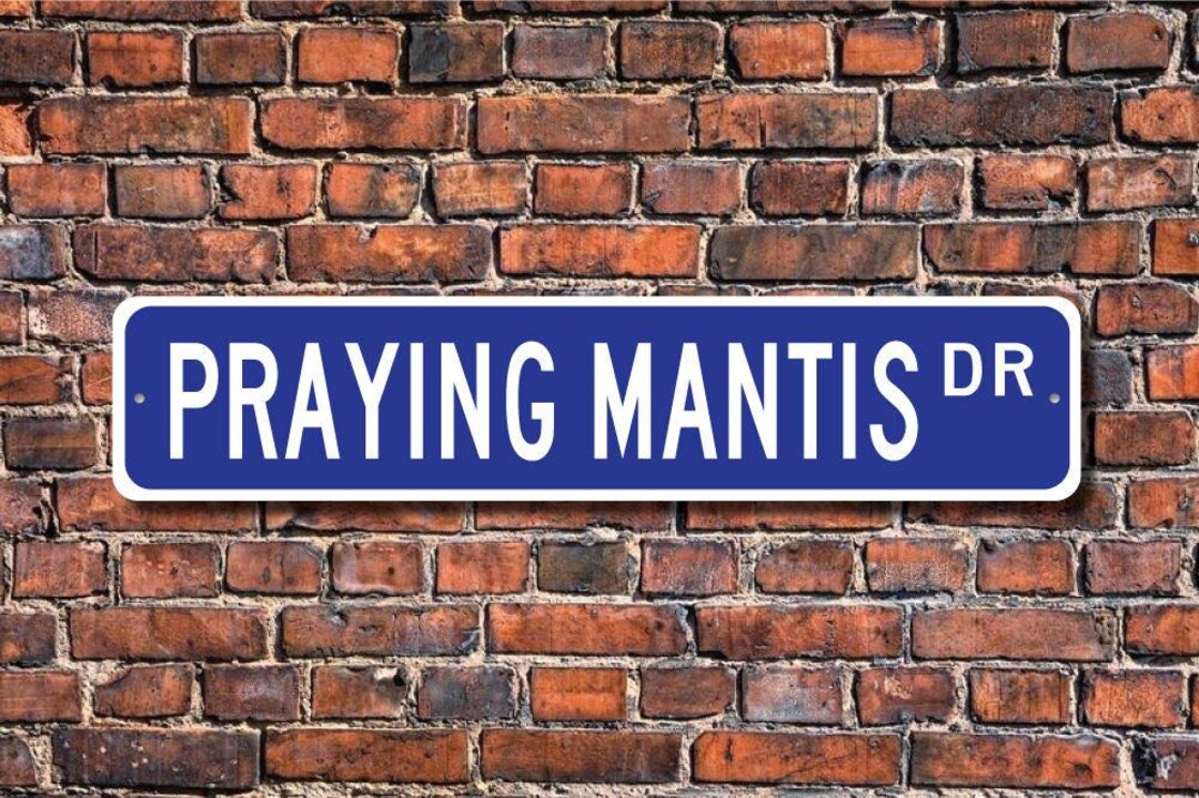 Praying Mantis, Praying Mantis Gift, Praying Mantis Sign, Praying ...