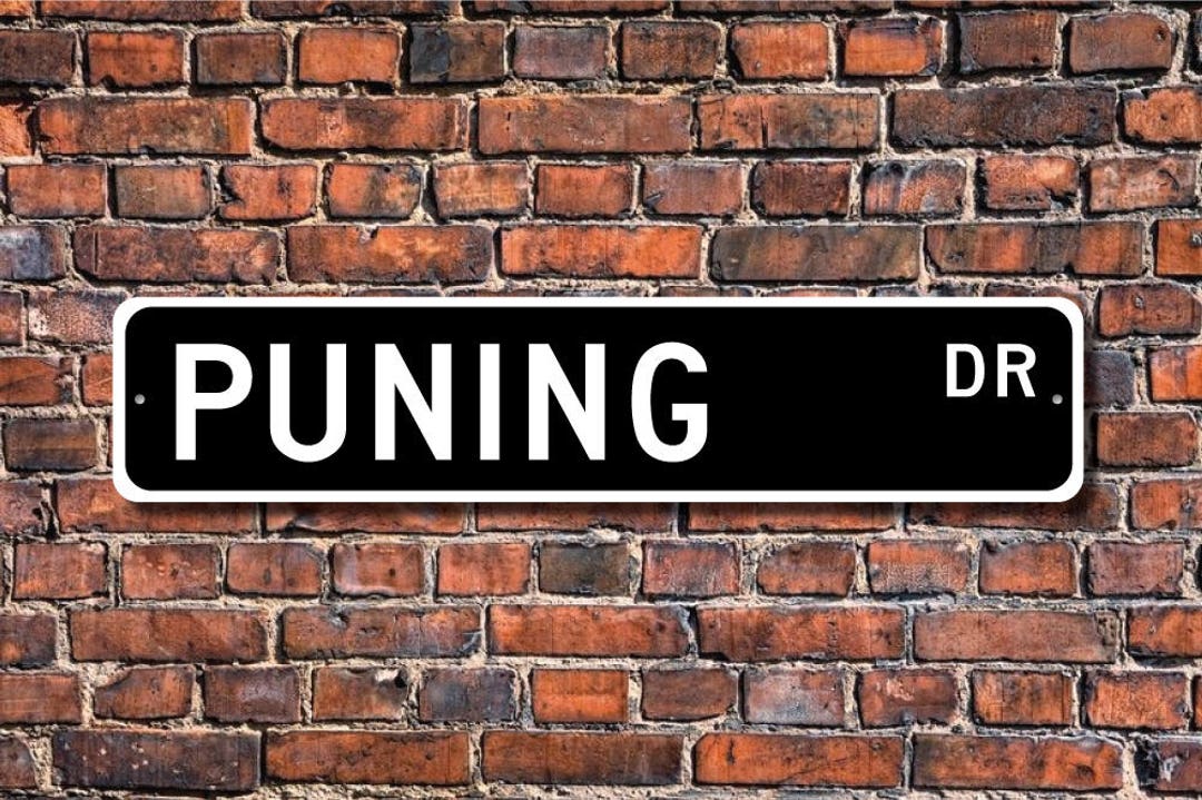 Puning Puning Sign Puning Gift Puning Visitor City in - Etsy