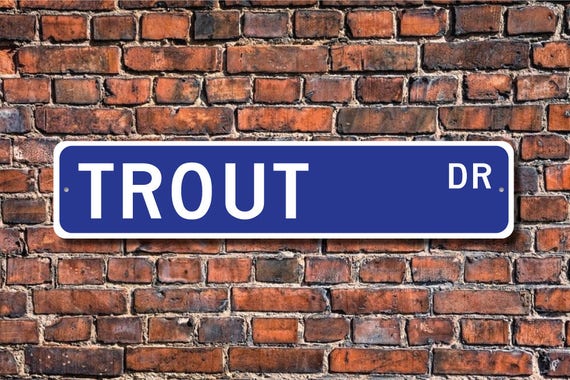 Trout Trout Gift Trout Sign Trout Decor Trout Lover | Etsy