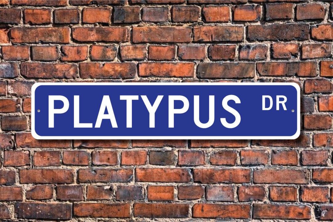 Platypus, Platypus Gift, Platypus Sign, Platypus Decor, Platypus Lover ...