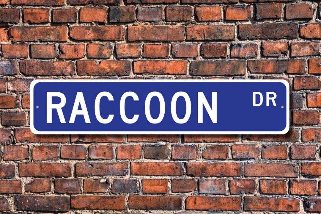 Raccoon, Raccoon Gift, Raccoon Sign, Raccoon Decor, Raccoon Lover, No ...