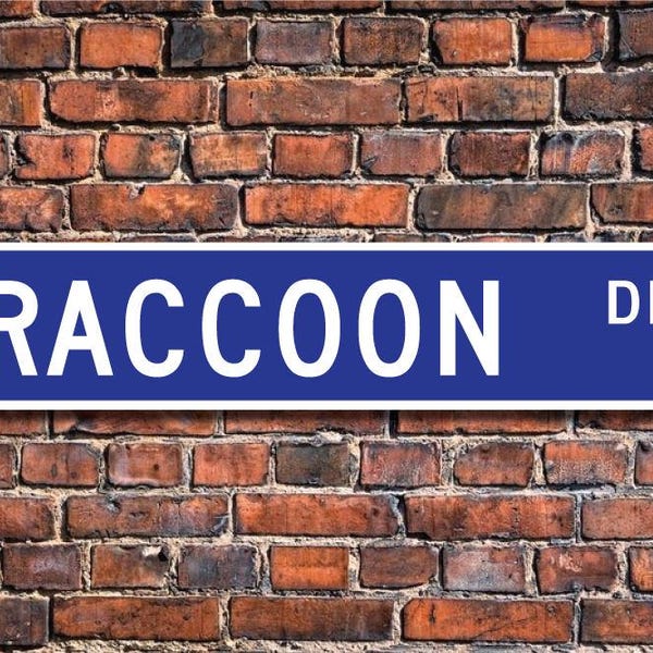 Raccoon - Etsy