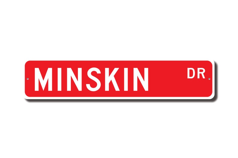 Minskin Minskin Lover Minskin Sign Minskin Owner Minskin - Etsy