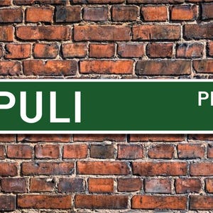 Puli, Puli Sign, Puli Lover, Custom Street Sign, Quality Metal Sign ...