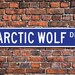 Arctic Wolf, Arctic Wolf Gift, Arctic Wolf Sign, Arctic Wolf Decor ...