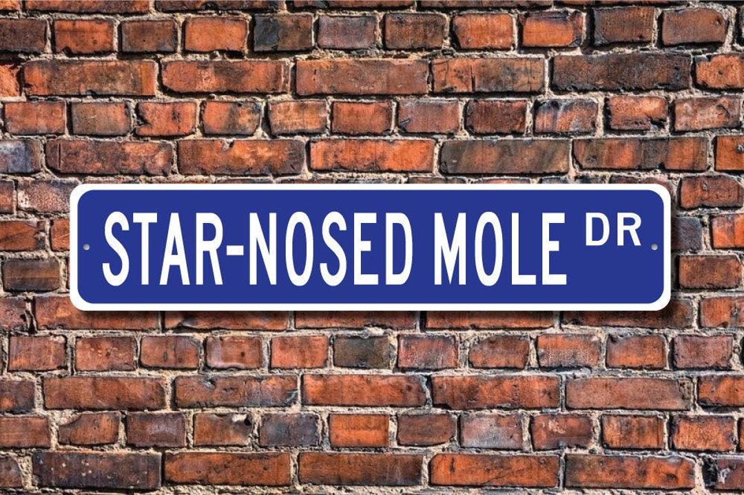Star-nosed Mole, Star-nosed Mole Gift, Star-nosed Mole Sign, Star-nosed ...