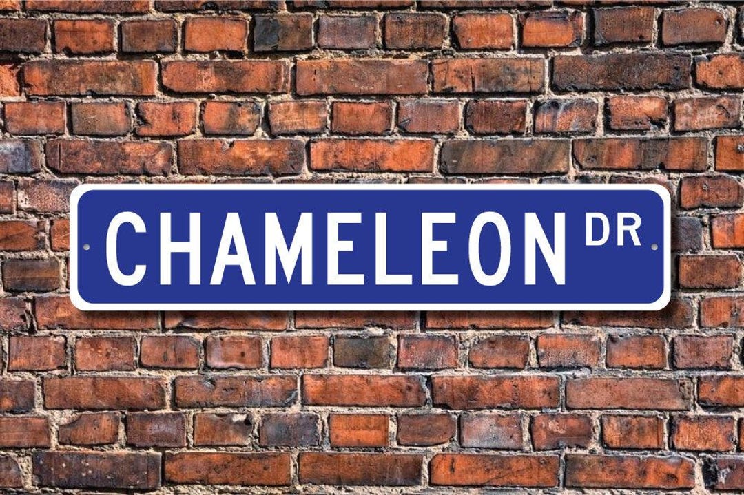 Chameleon, Chameleon Gift, Chameleon Sign, Chameleon Decor, Chameleon ...