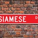 Siamese, Siamese Sign, Siamese Owner, Siamese Gift, Siamese Cat Decor ...