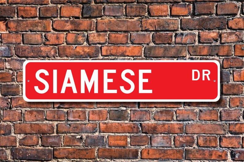 Siamese Siamese Sign Siamese Owner Siamese Gift Siamese - Etsy