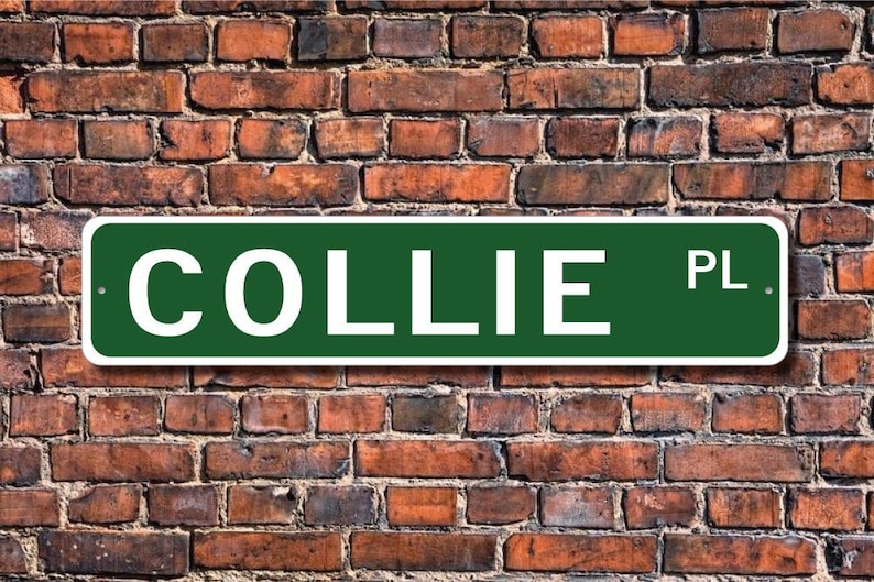 Collie, Collie Gift, Collie Sign, Custom Street Sign, Quality Metal ...