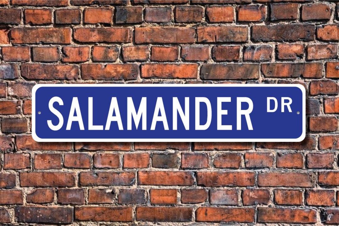 Salamander, Salamander Gift, Salamander Sign, Salamander Decor ...