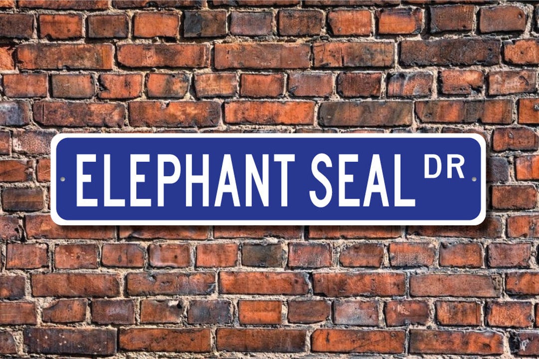 Elephant Seal Elephant Seal Gift Elephant Seal Sign - Etsy