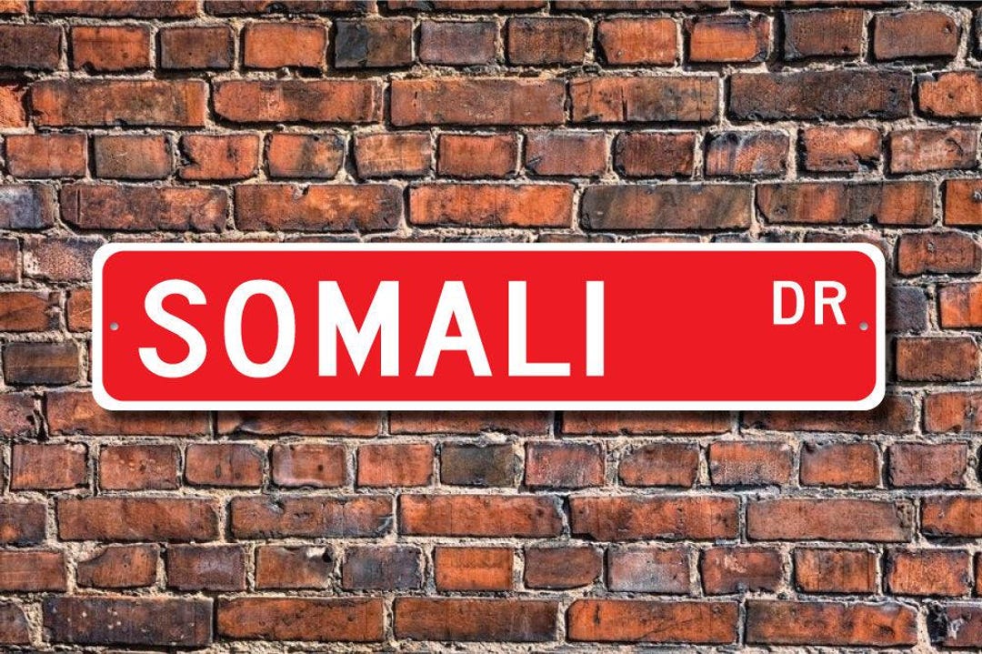 Somali, Somali Sign, Somali Owner, Somali Gift, Somali Cat Decor ...