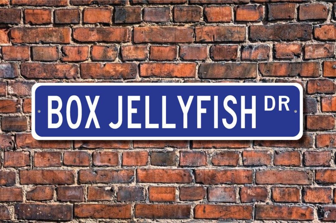 Box Jellyfish, Box Jellyfish Gift, Box Jellyfish Sign, Box Jellyfish ...