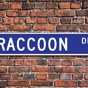 Raccoon, Raccoon Gift, Raccoon Sign, Raccoon Decor, Raccoon Lover, No ...