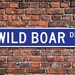 Wild Boar, Wild Boar Gift, Wild Boar Sign, Wild Boar Decor, Wild Boar ...