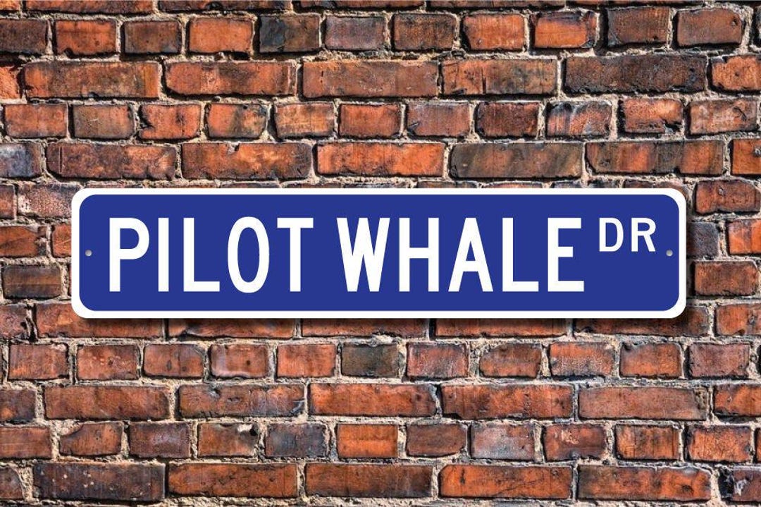 Pilot Whale, Pilot Whale Gift, Pilot Whale Sign, Pilot Whale Decor ...