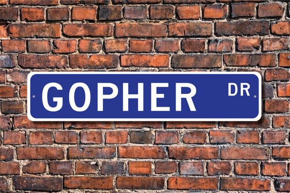 Gopher Gopher Gift Gopher Sign Gopher Decor Gopher Lover | Etsy