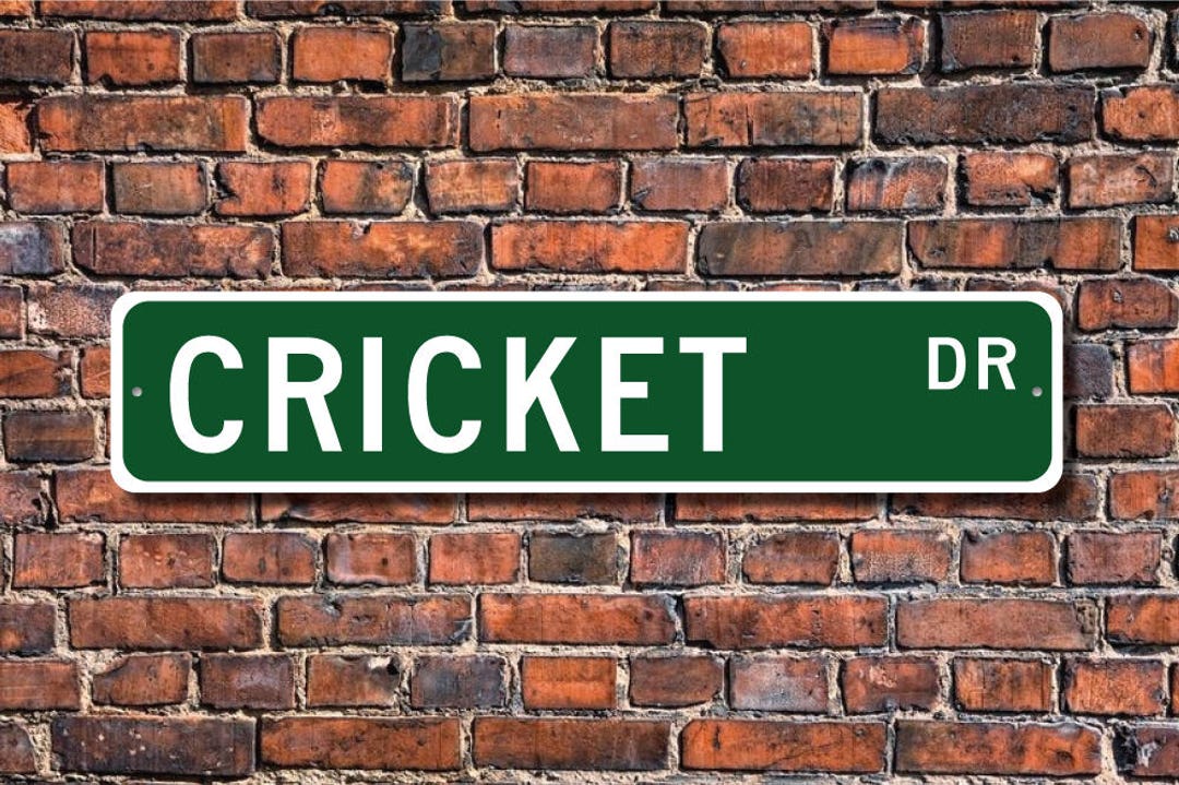 Cricket, Cricket Sign, Cricket Fan, Cricket Gift, Cricket Player ...