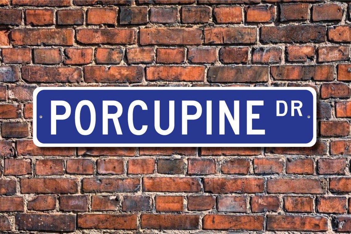 Porcupine, Porcupine Gift, Porcupine Sign, Porcupine Decor, Porcupine ...